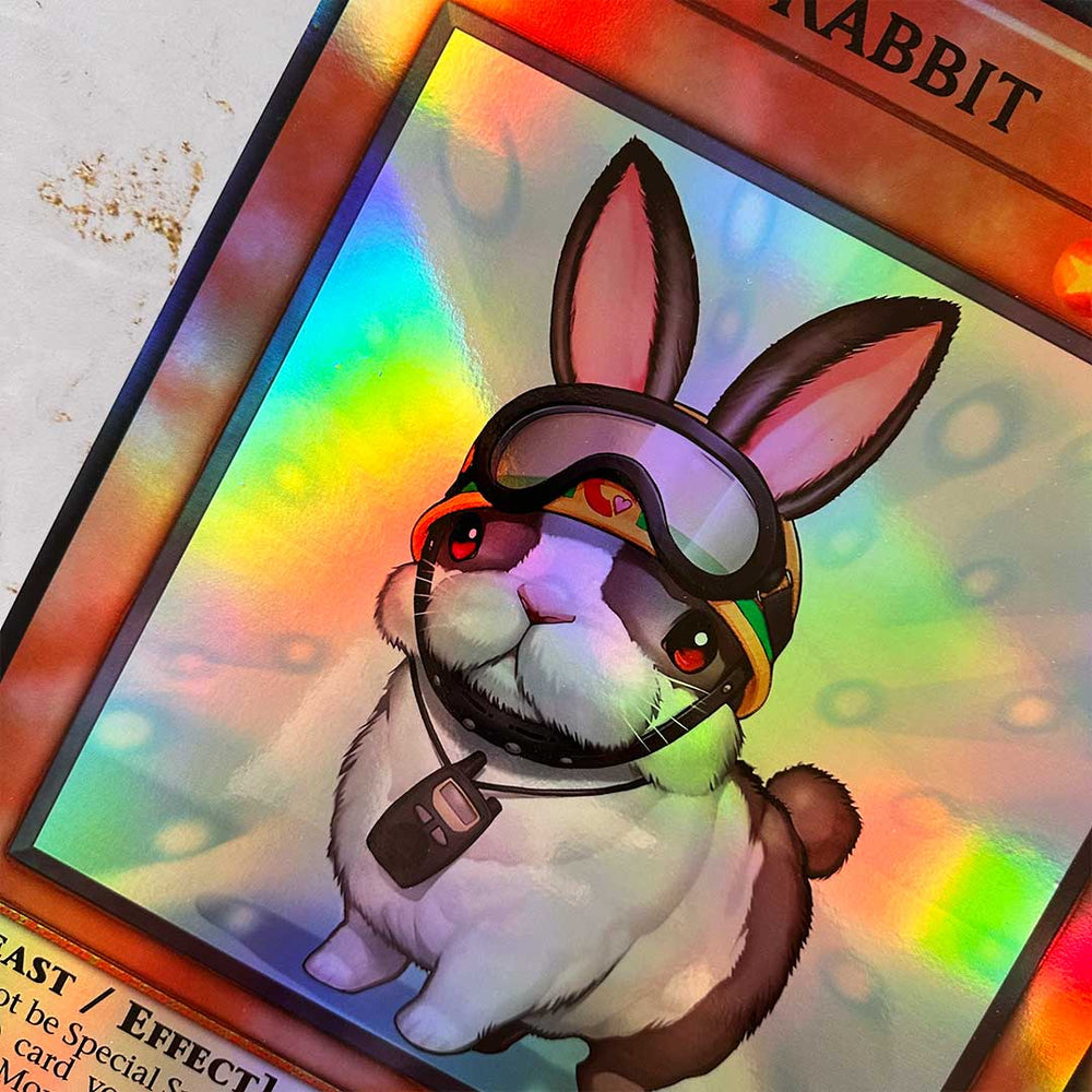 Cuadro Decorativo Rescue Rabbit - Geeksroom