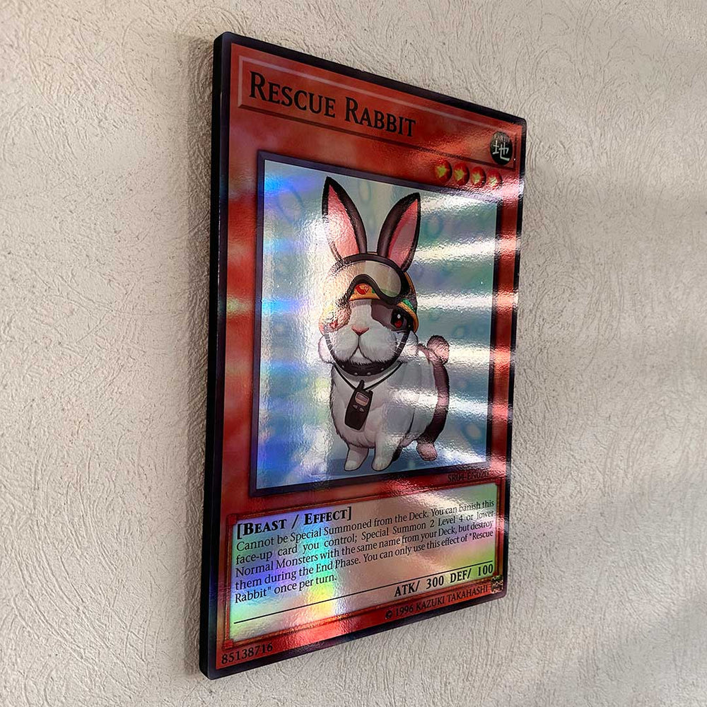 Cuadro Decorativo Rescue Rabbit - Geeksroom